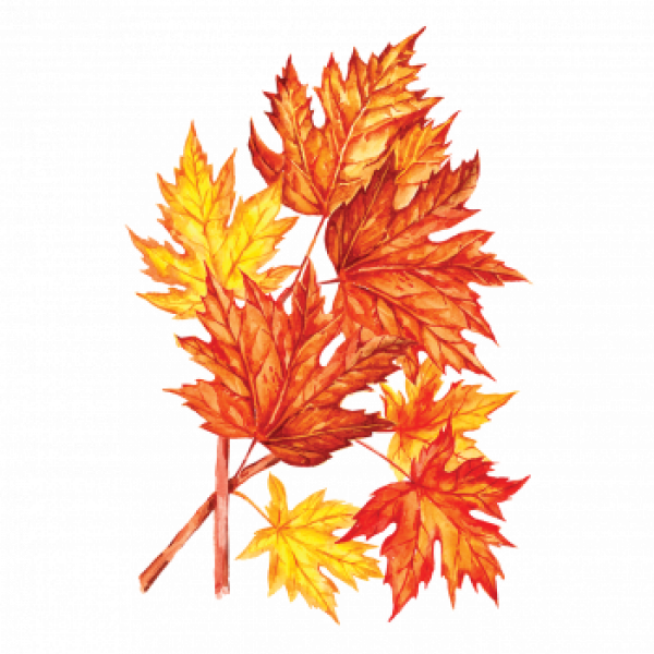 250380 Сироп PROFF Кленовый, 1 л.