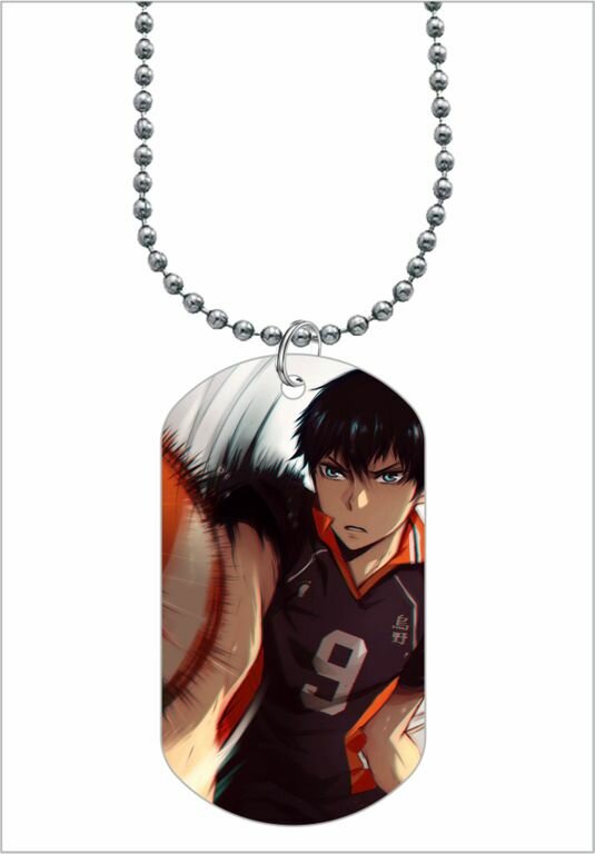 Жетон волейбол, HAIKYUU!№10