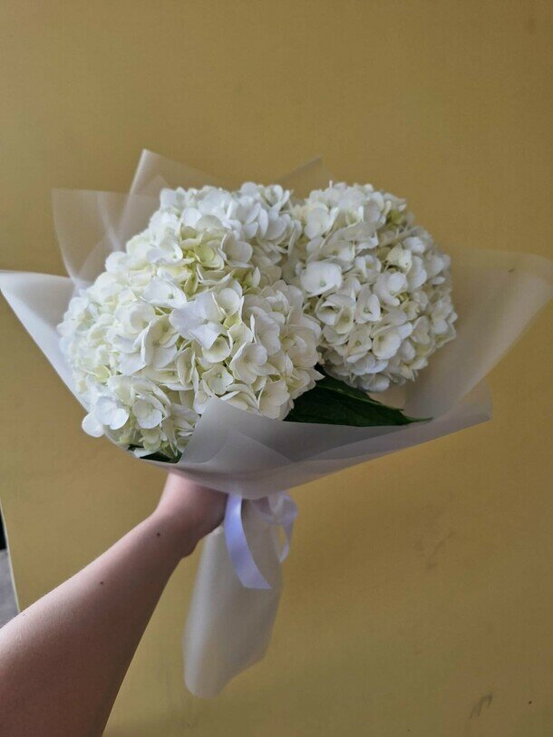 Букет Well Flowers "Гортензии" XL, круглый, 50 см, 3шт, букет свежих цветов
