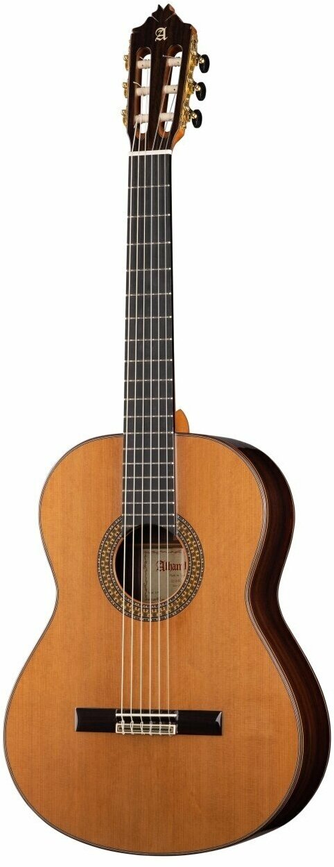 819-9P Classical Concert 9P Классическая гитара, с футляром, Alhambra