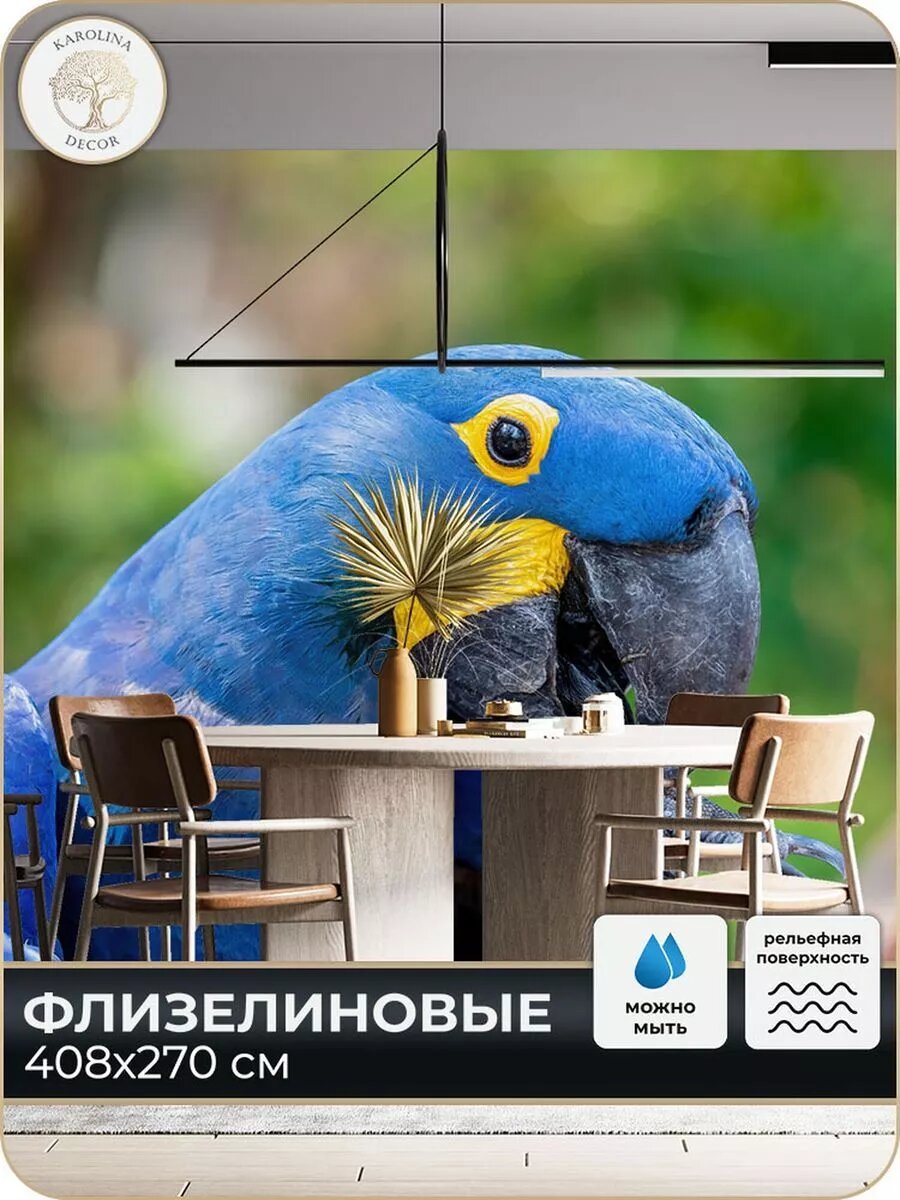 Фотообои Попугай в детскую в спальню на кухню 400х270