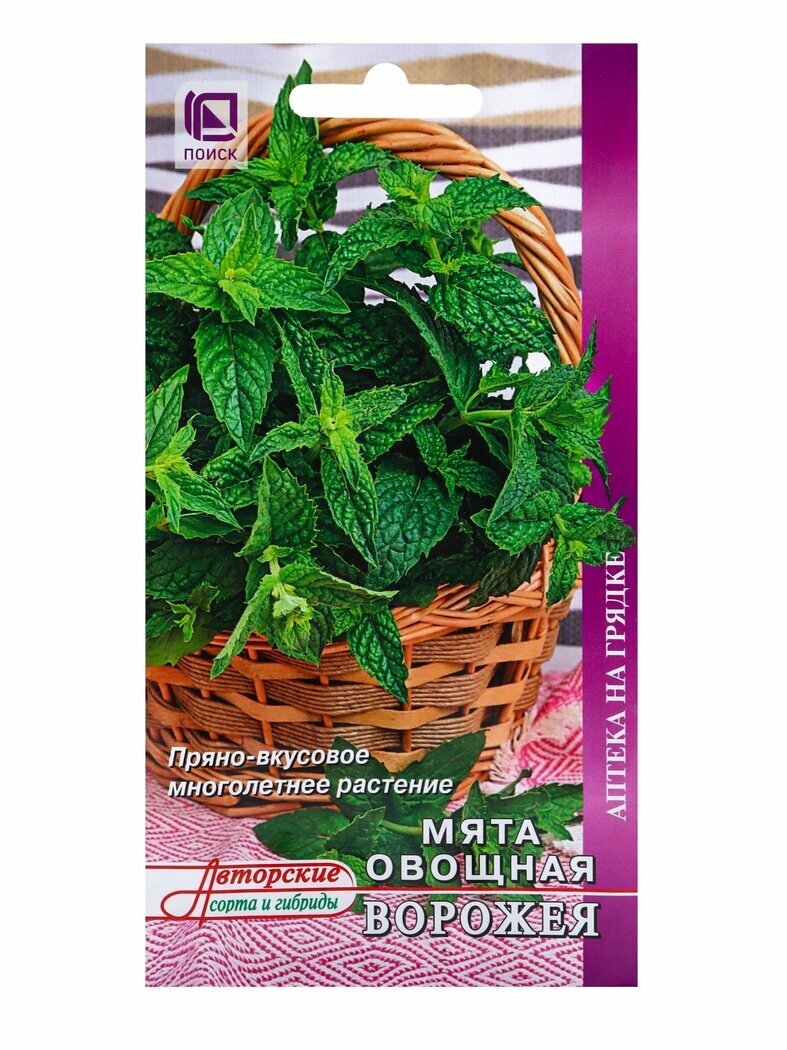 Семена мяты овощной "Ворожея" поиск, холодостойкая, многолетняя, 0,1г