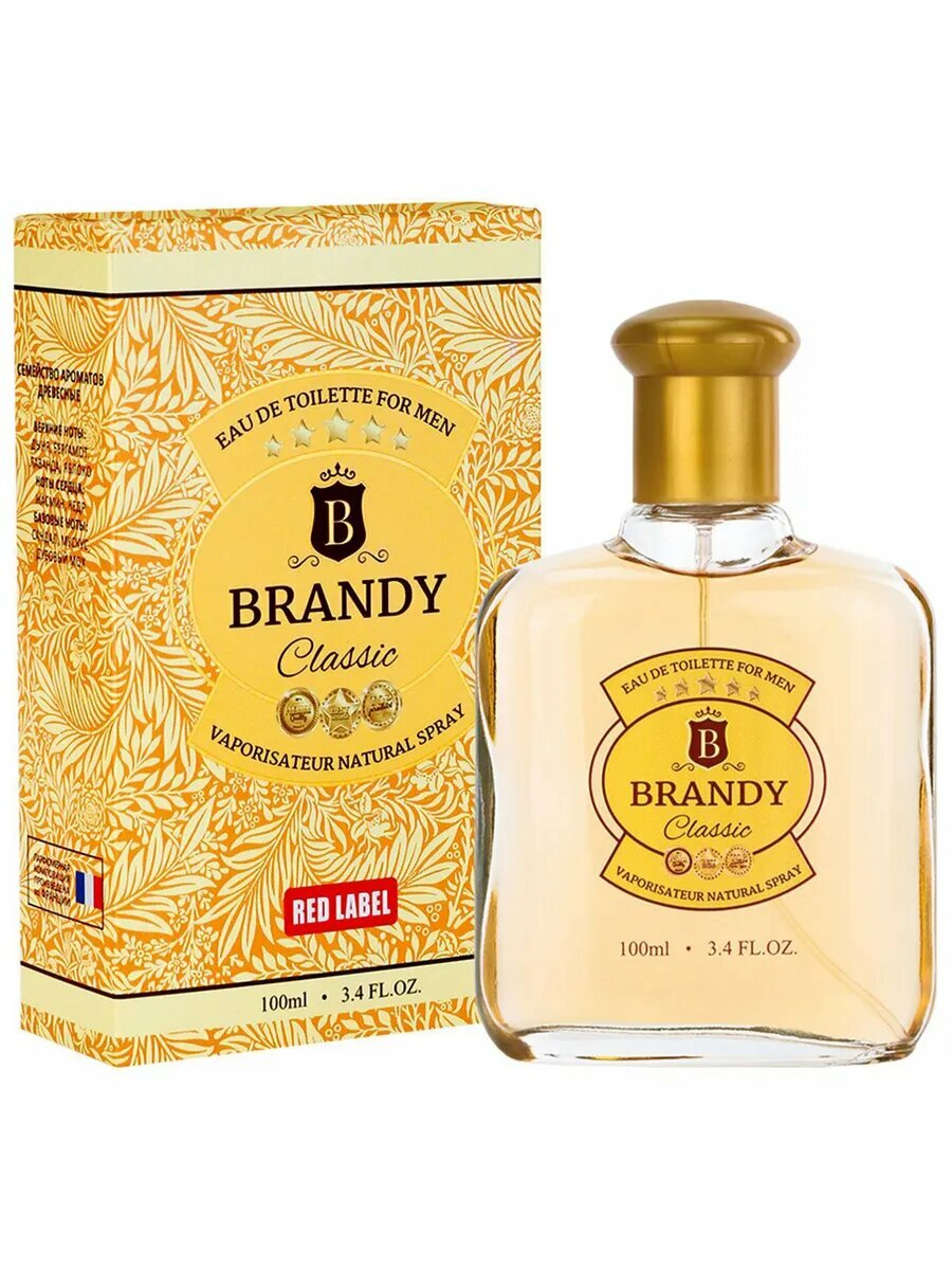 Туалетная вода Today Parfum BRANDY Classic 100ml для мужчин