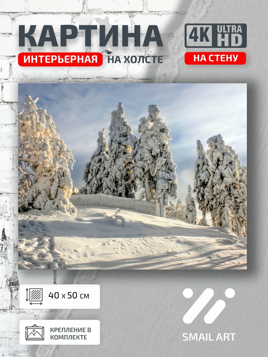 Картина на холсте интерьерная 40 на 50 на стену Зима Landscape для офиса пейзаж интерьер