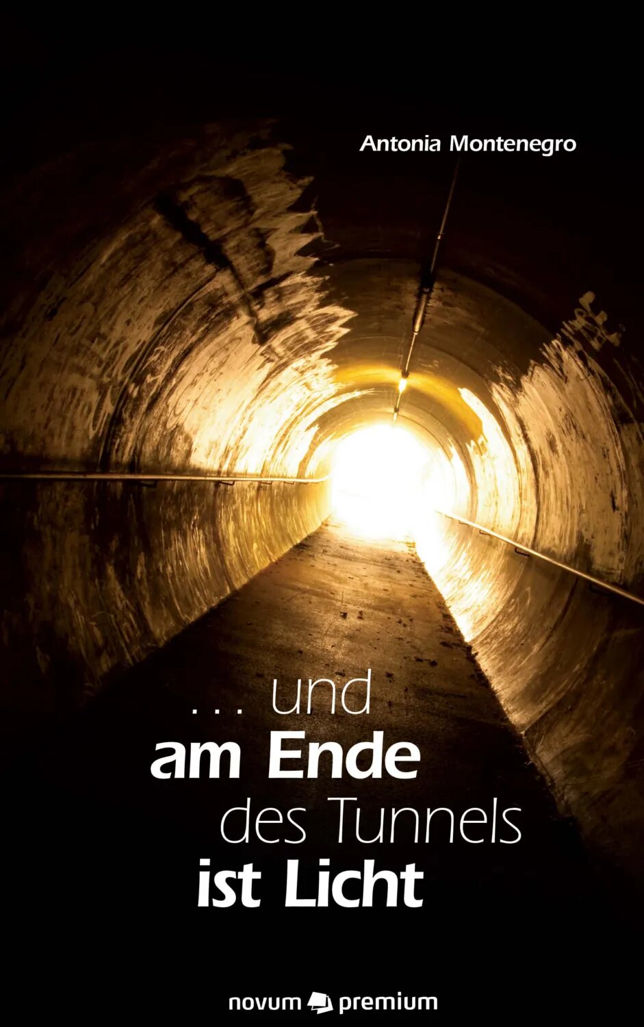 . und am Ende des Tunnels ist Licht [Цифровая книга]