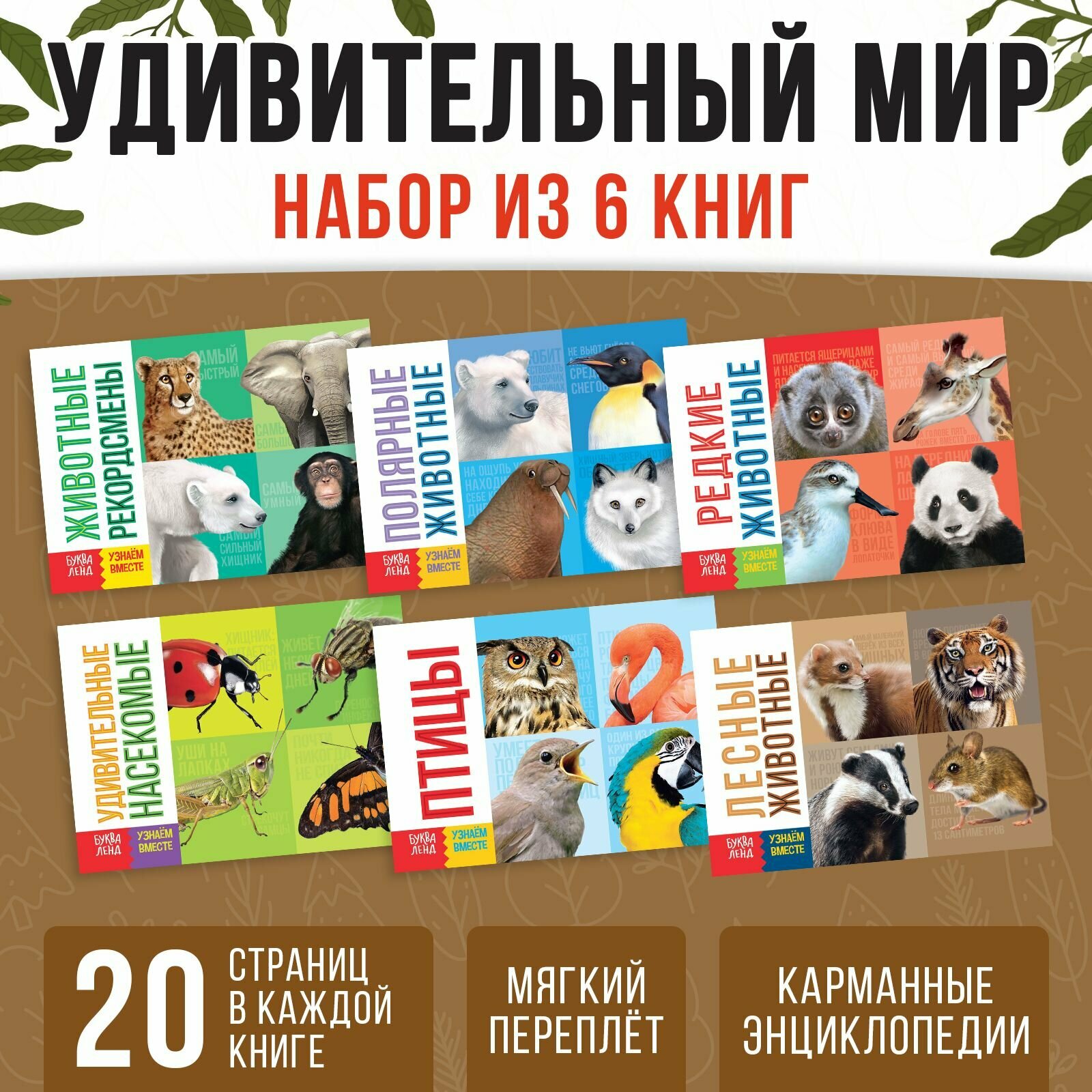 Обучающие книги набор Удивительный мир 6 шт. по 20 стр.