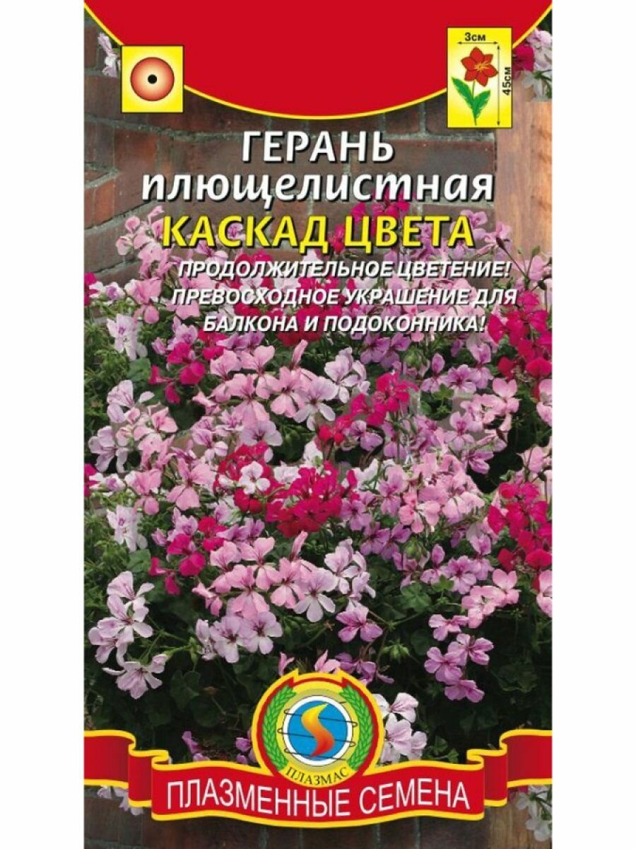 Герань Каскад Цвета плющелистная 3 шт, Плазменные семена