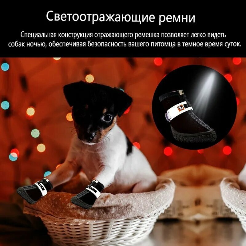 Обувь для собак — фото 1