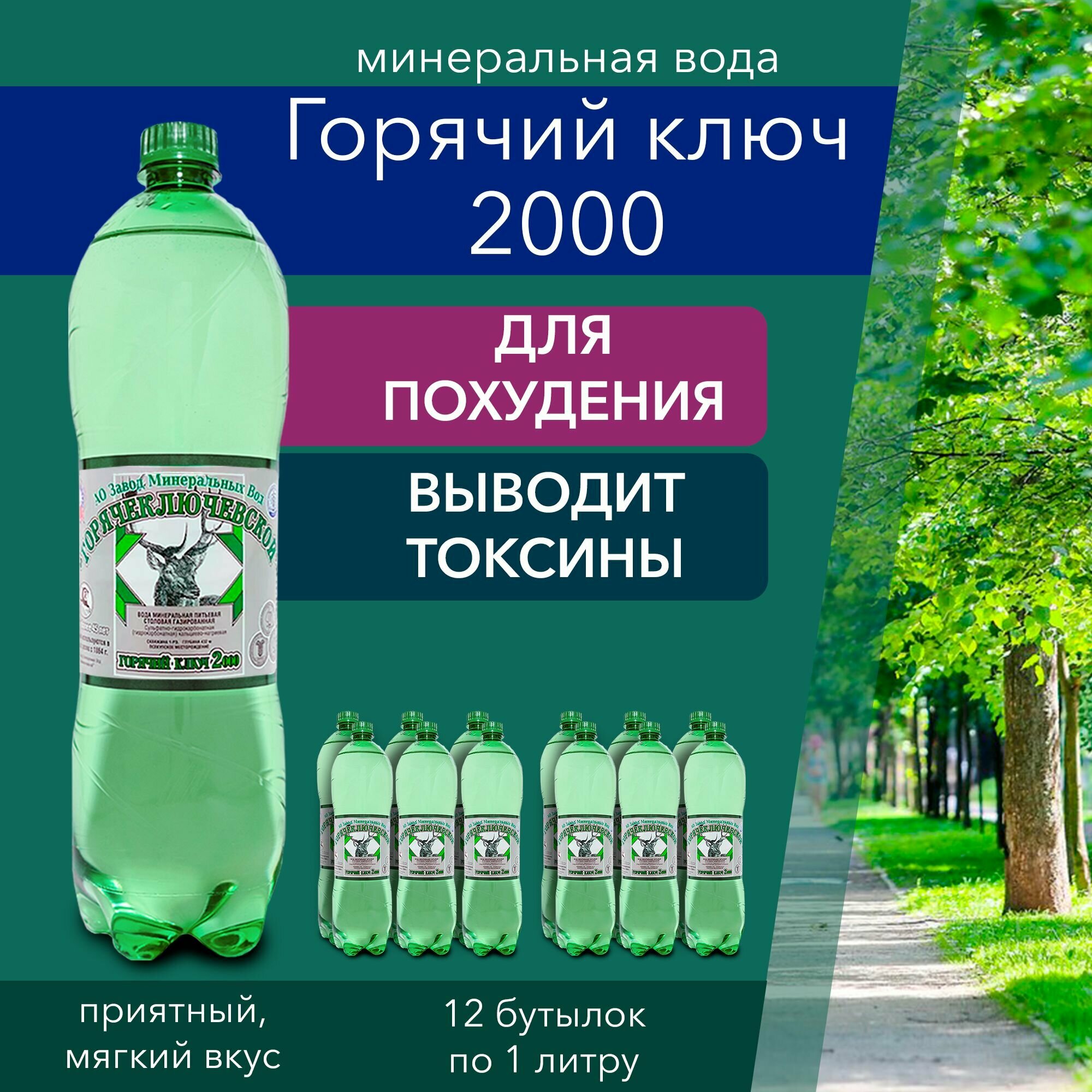 Вода Горячий Ключ 2000. Объем 1л*12 шт. Вода минеральная газированная природная целебная лечебная, выводит токсины,