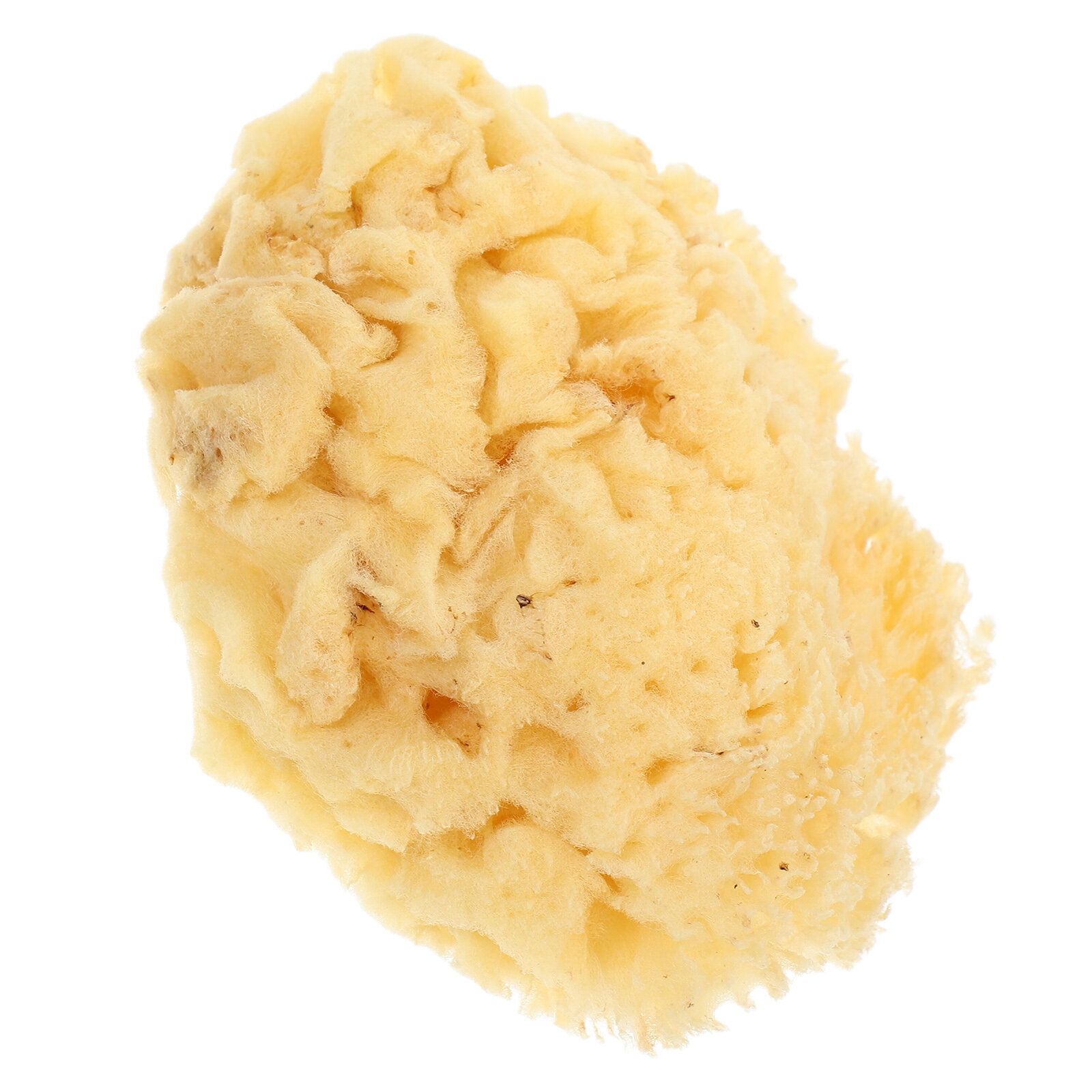 Натуральная морская губка для акварели и текстурной живописи, высокая влагоемкость, многоразовый художественный инструмент, 1 шт