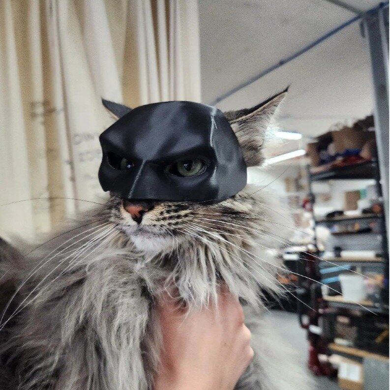Жесткий черный котелок для кошек, пет-маска BatCatAvenger, обхват головы 26 см, подходит для средних и крупных кошек