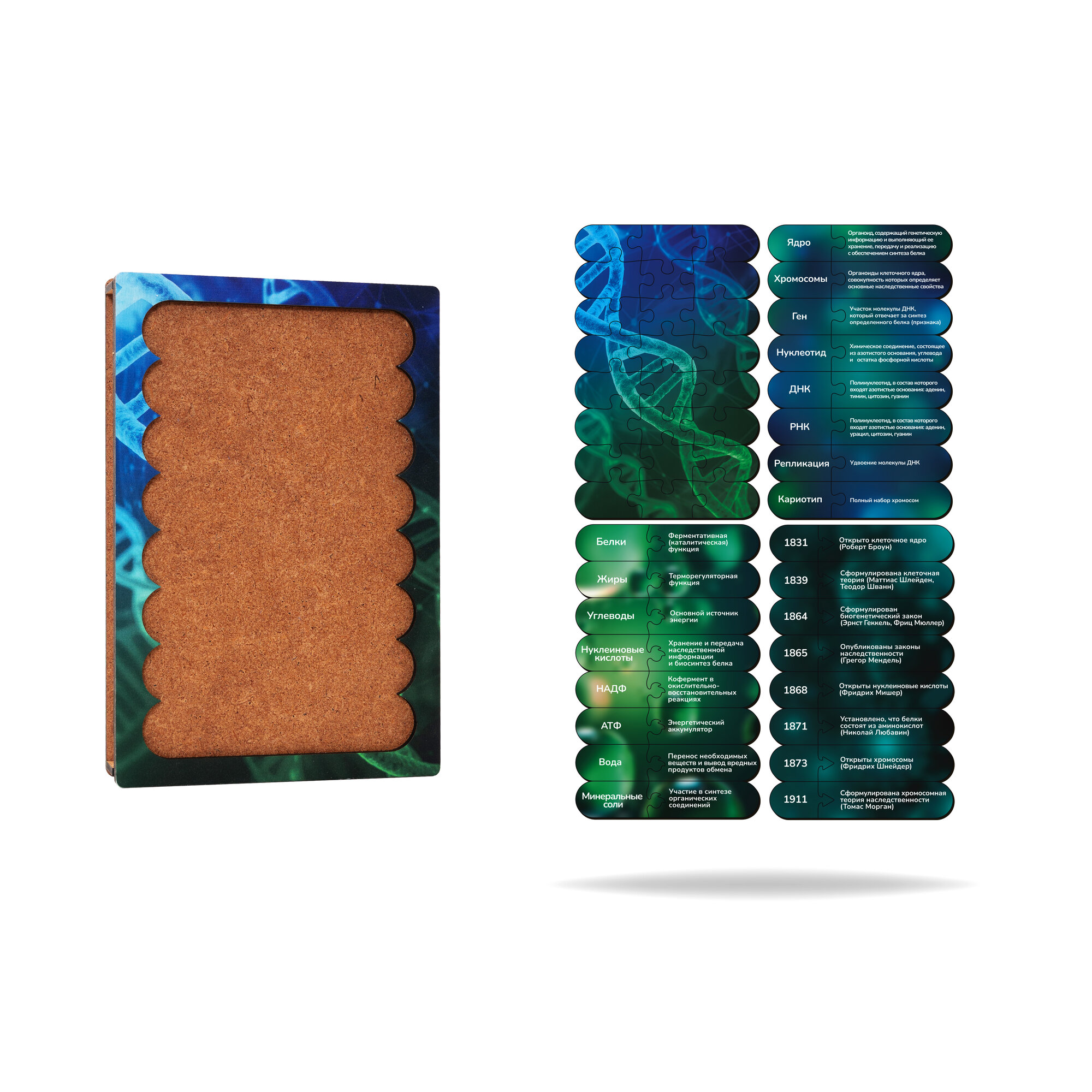 Деревянные пазлы/Палочки Основы генетики/настольная игра для детей и взрослых