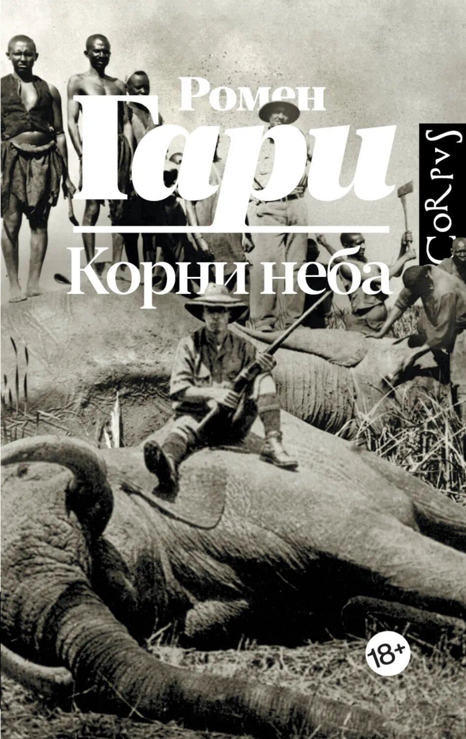 Корни неба [Цифровая книга]