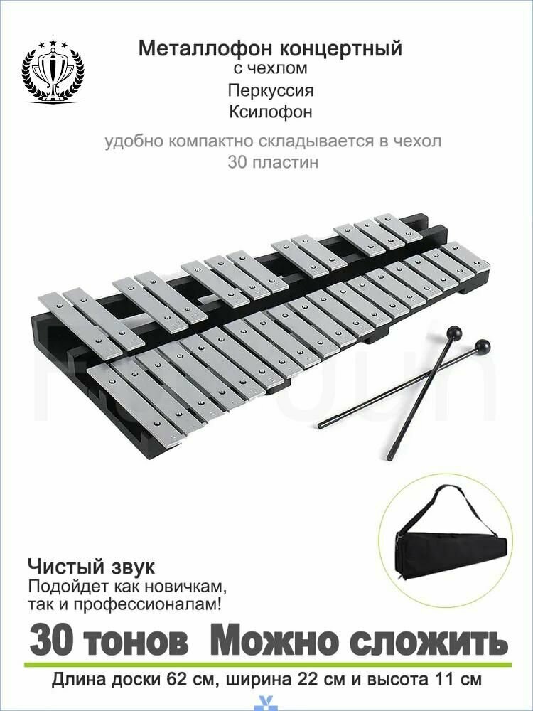 GM Металлофон (глокеншпиль) в чехле 30 брусков. Fleet DS-30