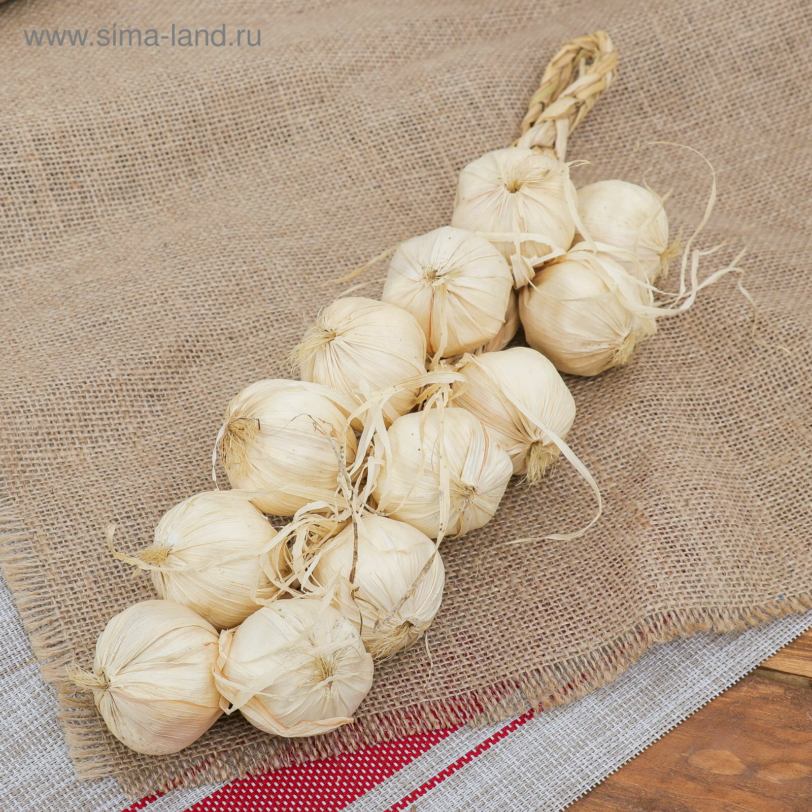 Муляж "Связка чеснока", 40 см, 12 головок, цвет: бежевый, размер упаковки: 9 x 6 x 40 см.