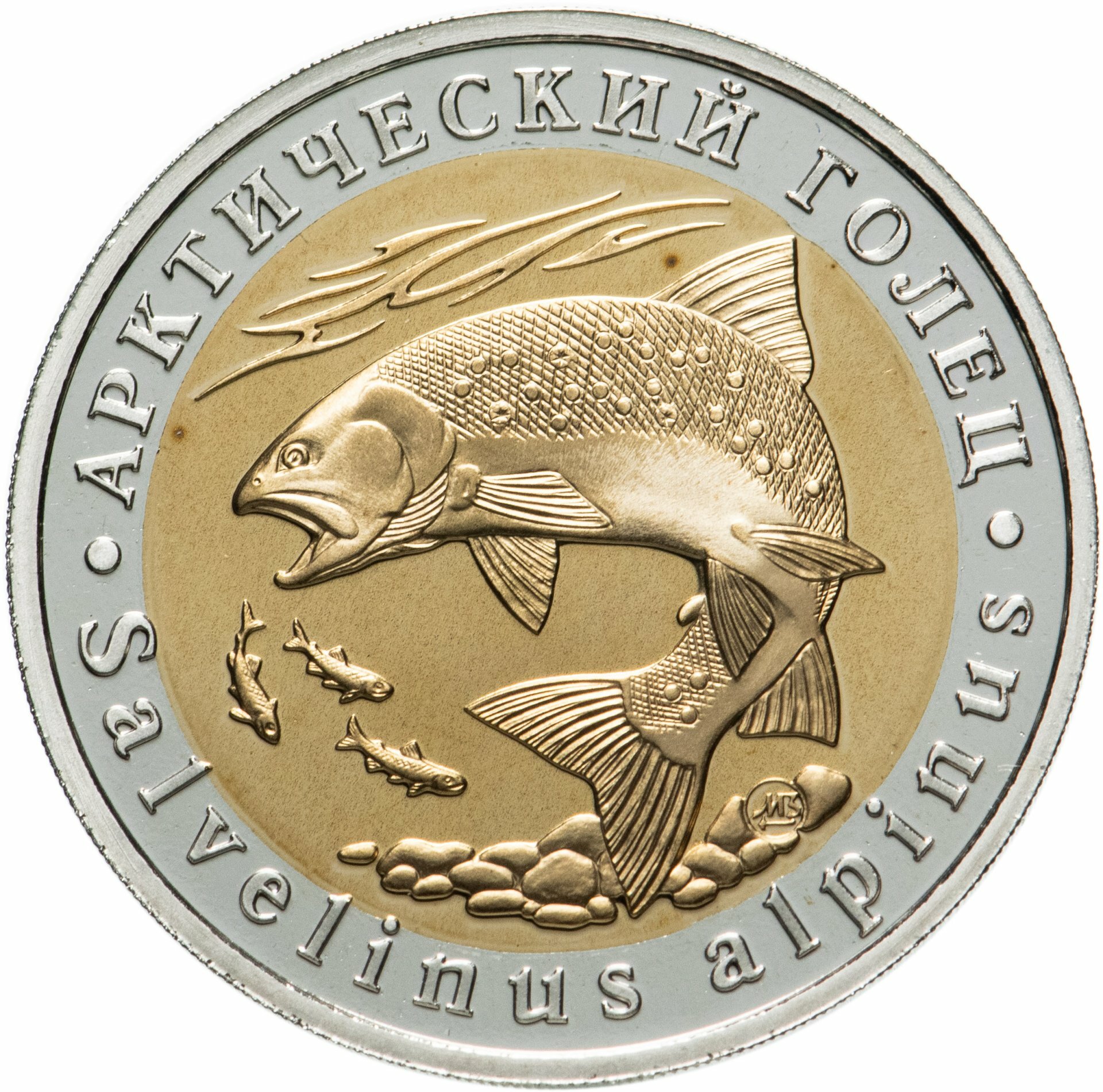 Рыба арктический голец Красная книга СССР, 5 червонцев 2017 ММД, биметалл
