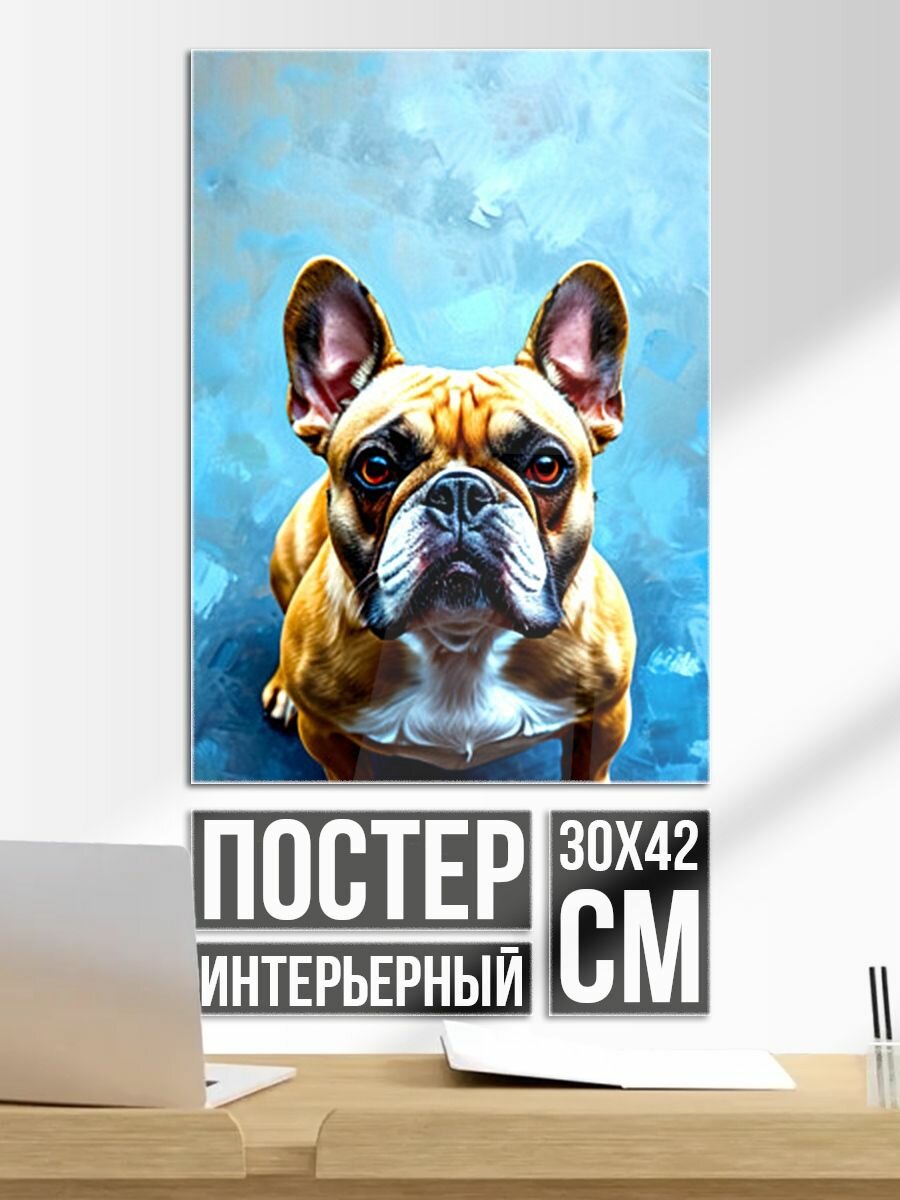 Постер на стену Французский бульдог на синем