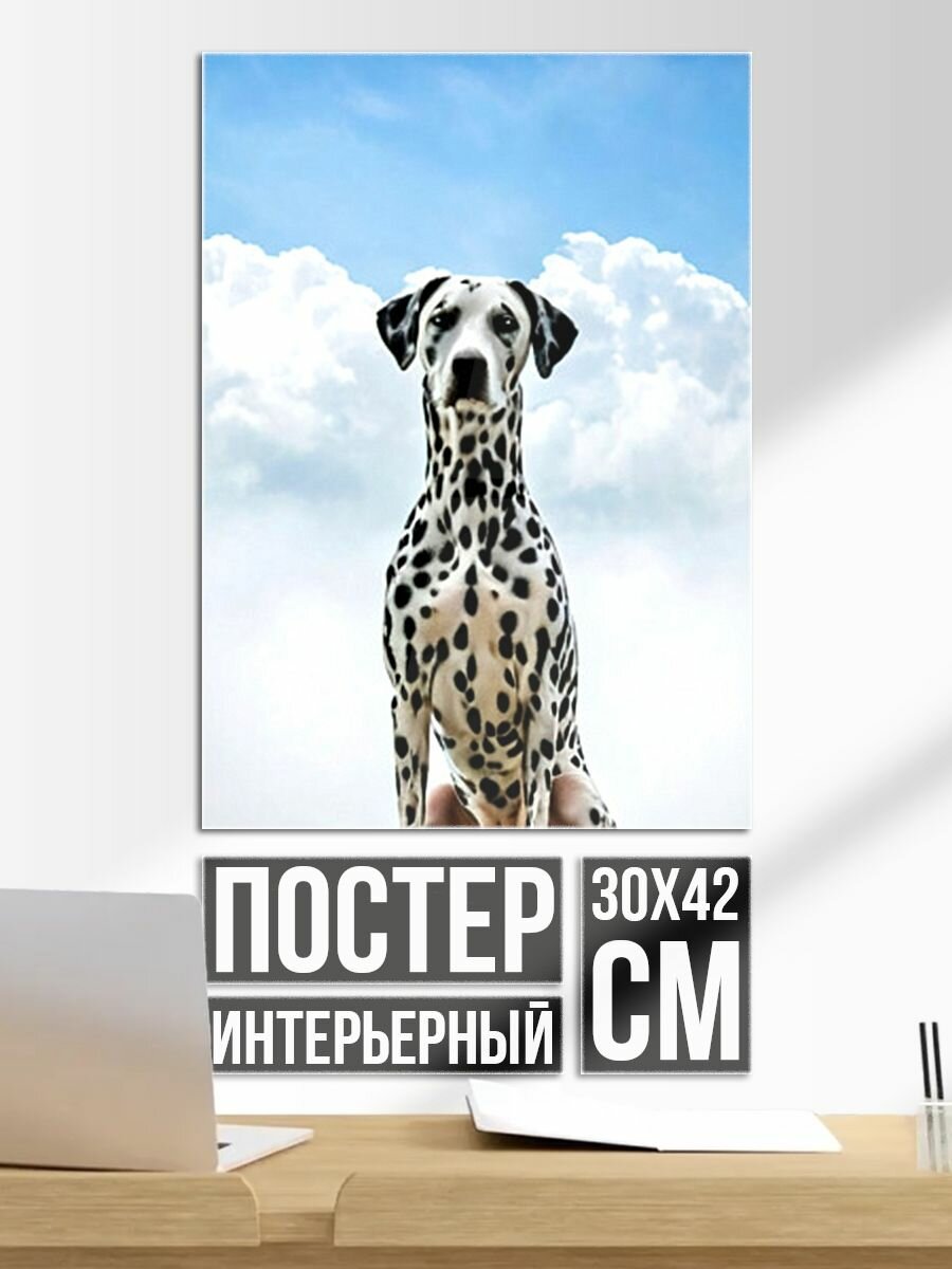 Постер на стену Далматин и облока