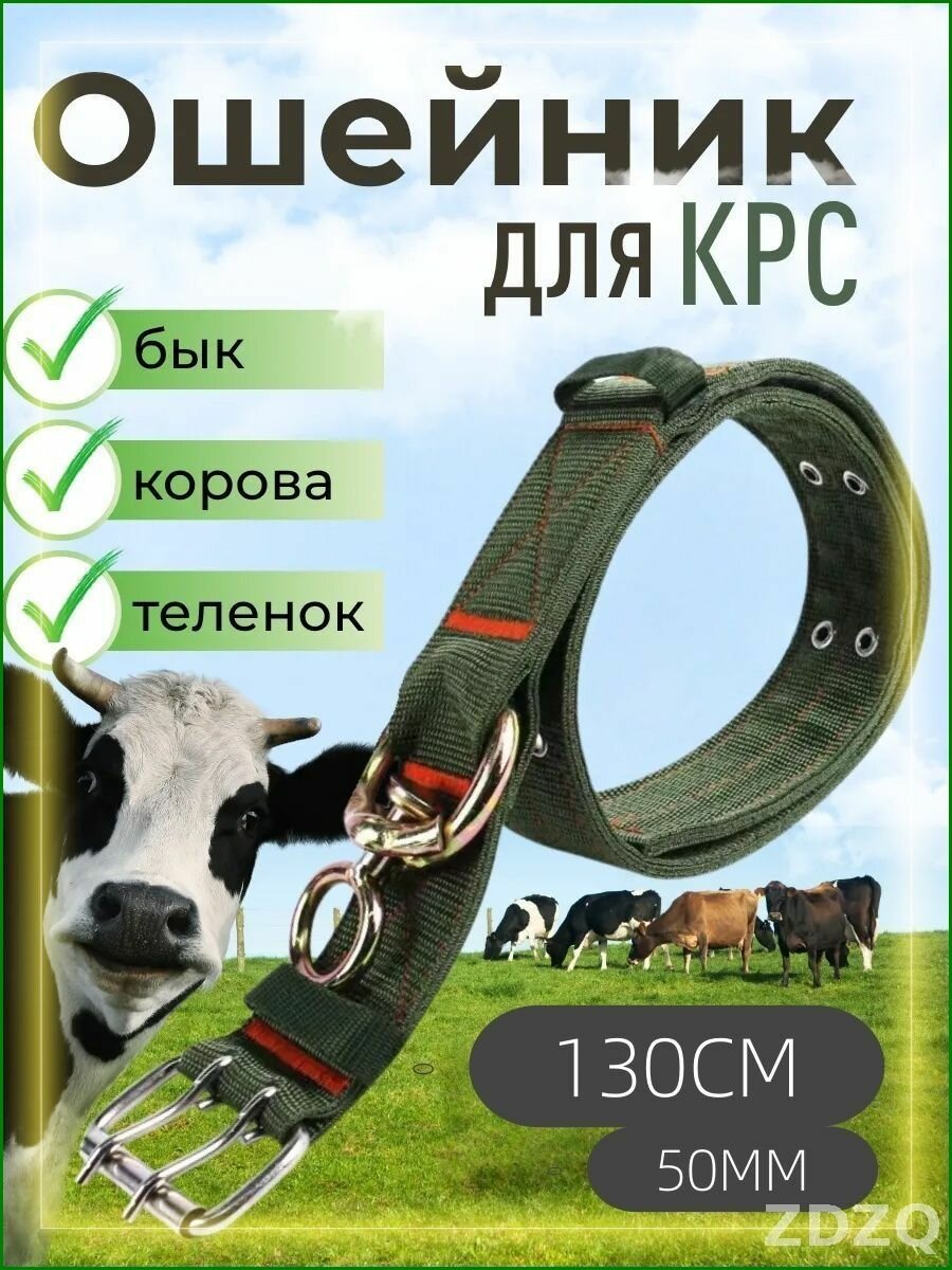 Ошейник для КРС 50мм/130см брезент-нейлон 4 слоя/Для теленка, коров, быков, лошадей с вертлюгом, особопрочный