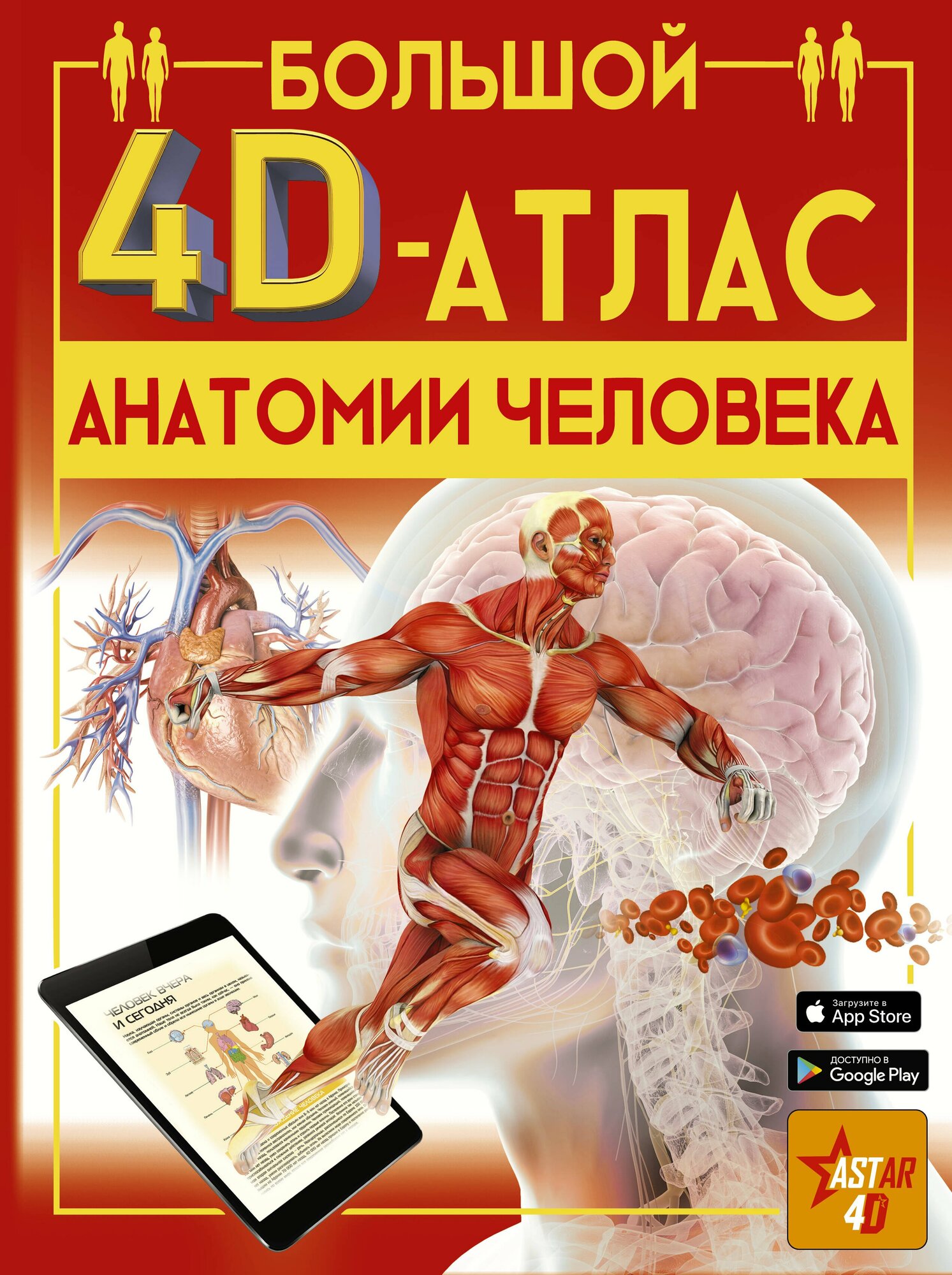 Большой 4D-атлас анатомии человека (Анна Спектор)
