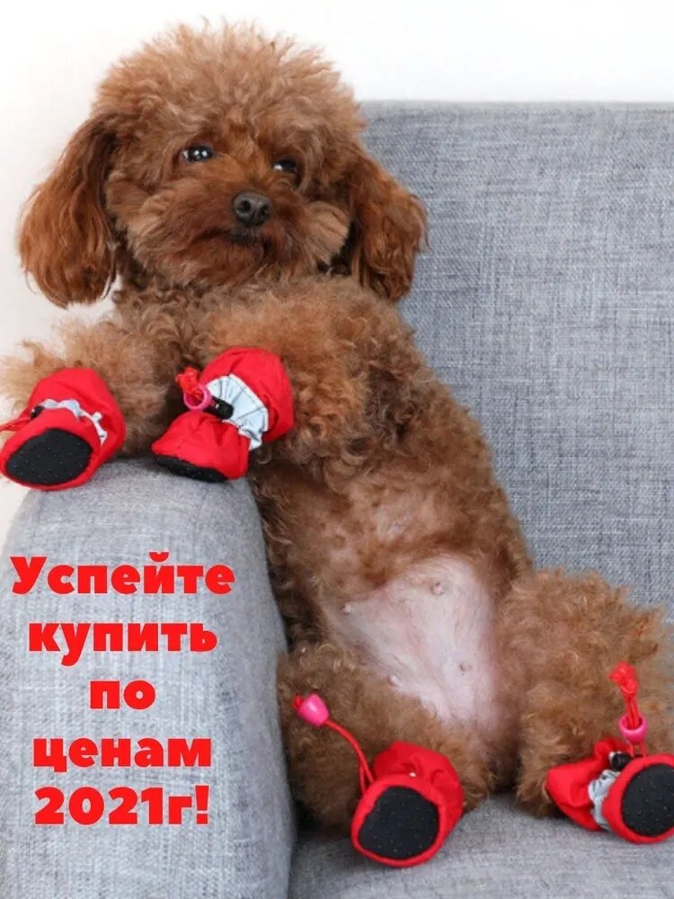 Непромокаемые ботинки для собак/обувь для собак мелких и средних пород, размер 6 (6 см) красный