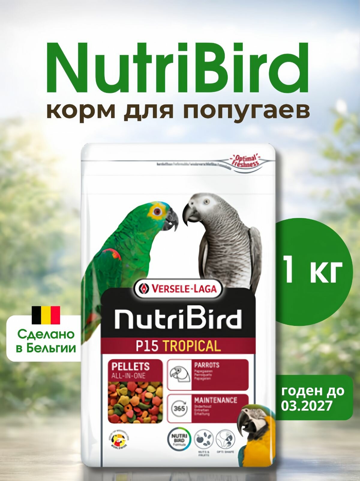 Зерновая смесь для здоровья попугаев P15 tropical