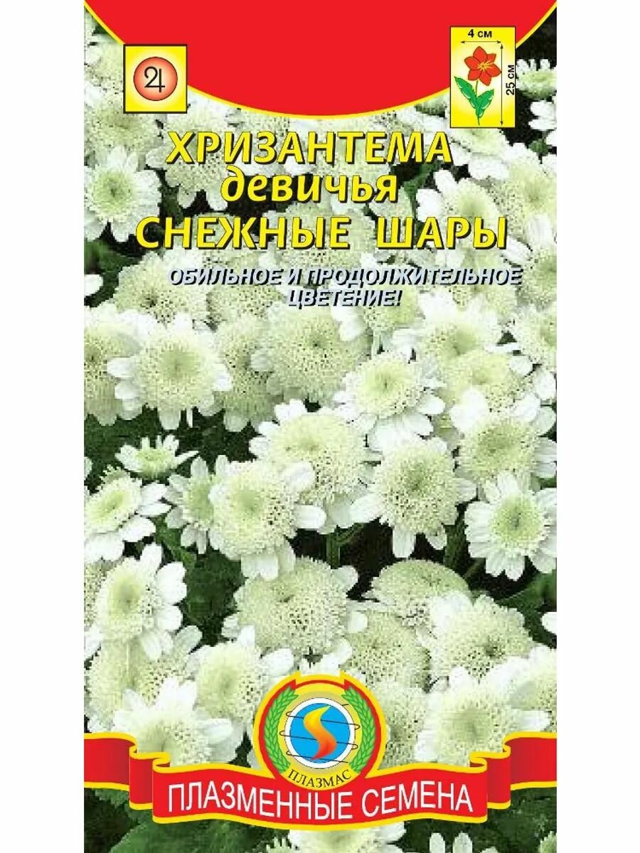 Хризантема Снежные шары девичья 0,1 г, Плазменные семена