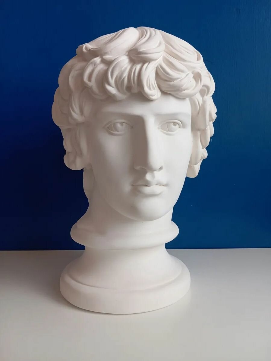 Гипсовая фигура голова Антиноя 43 см.
