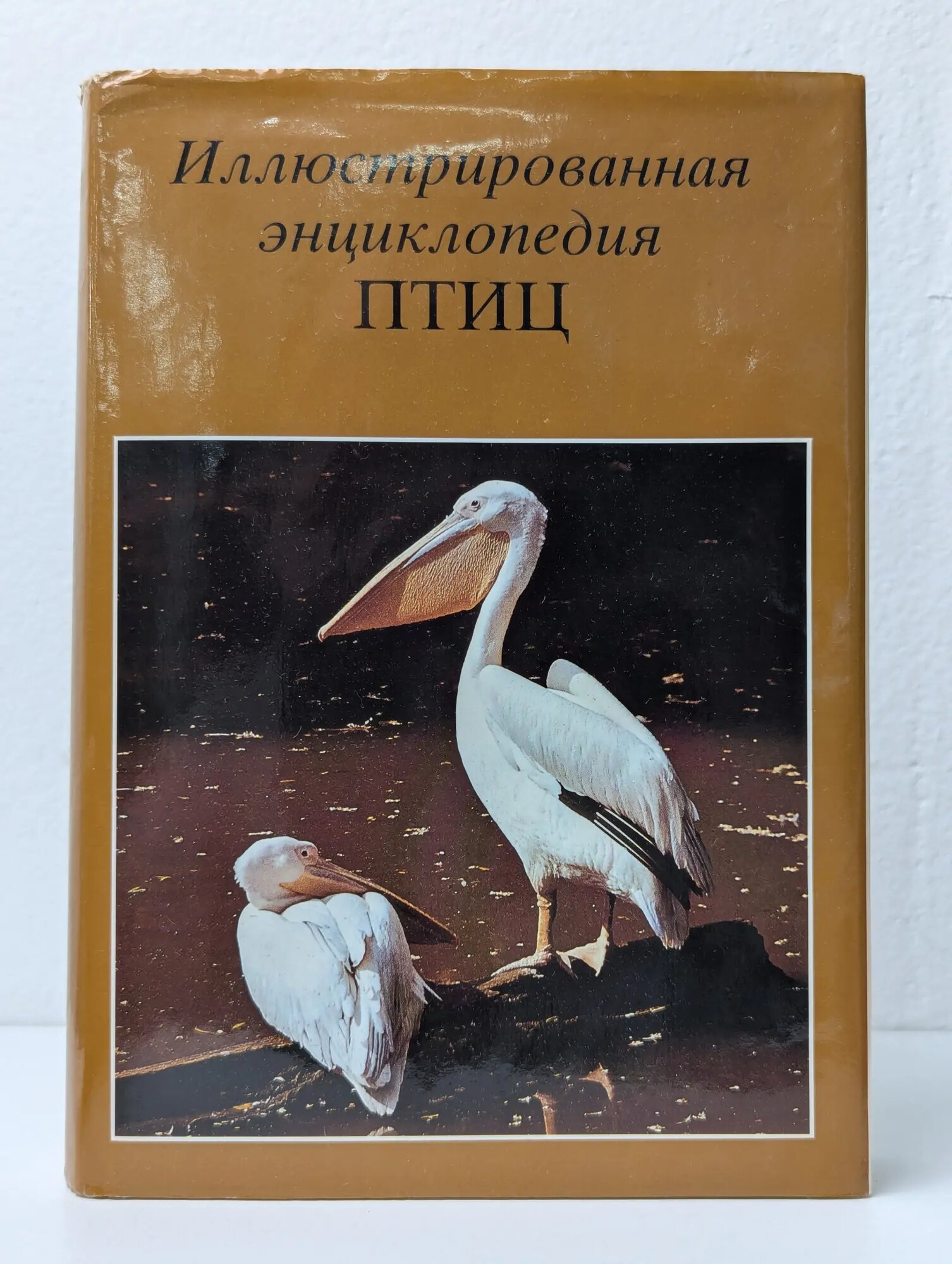 Иллюстрированная энциклопедия птиц Ганзак Ян 1990