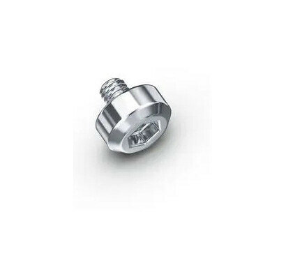 Винт для мультитулов Victorinox Swisstool BS/Swisstool Spirit BS (B.0240.87)