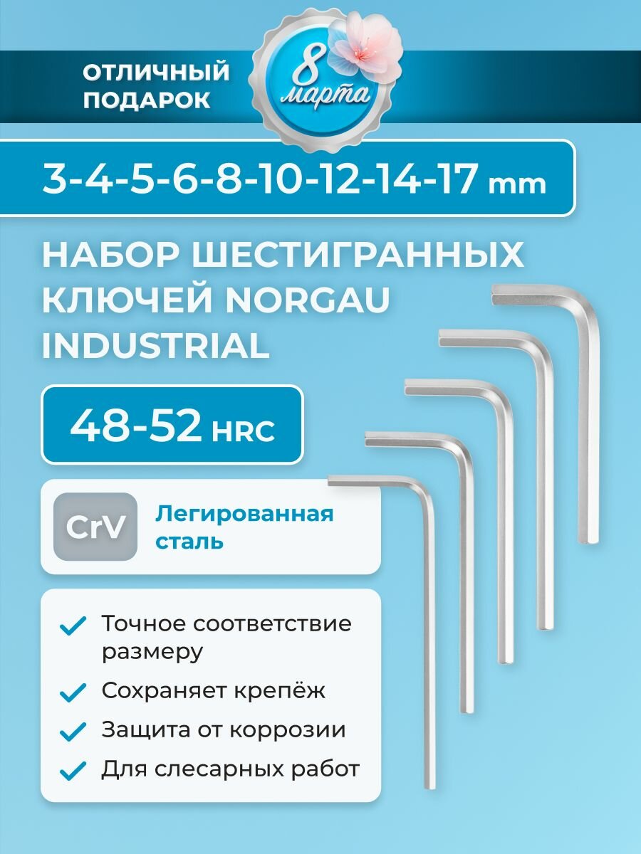 Набор шестигранных хромированных ключей 3-17 мм NORGAU Industrial для винтов с внутренним шестигранником, 9 предметов