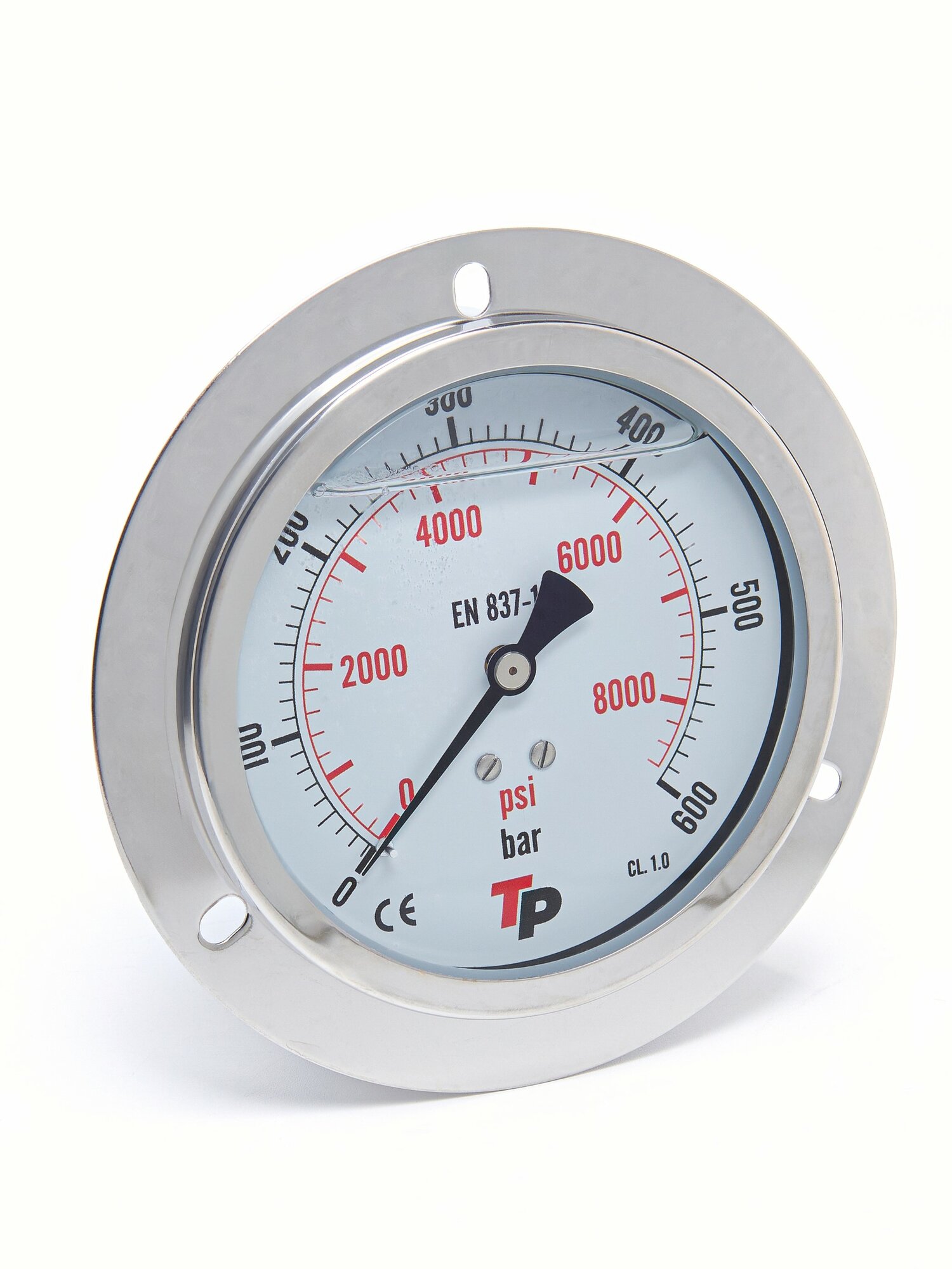 Манометр гидравлический виброустойчивый фланцевый D100 мм 0-600 bar 1/2BSP TP