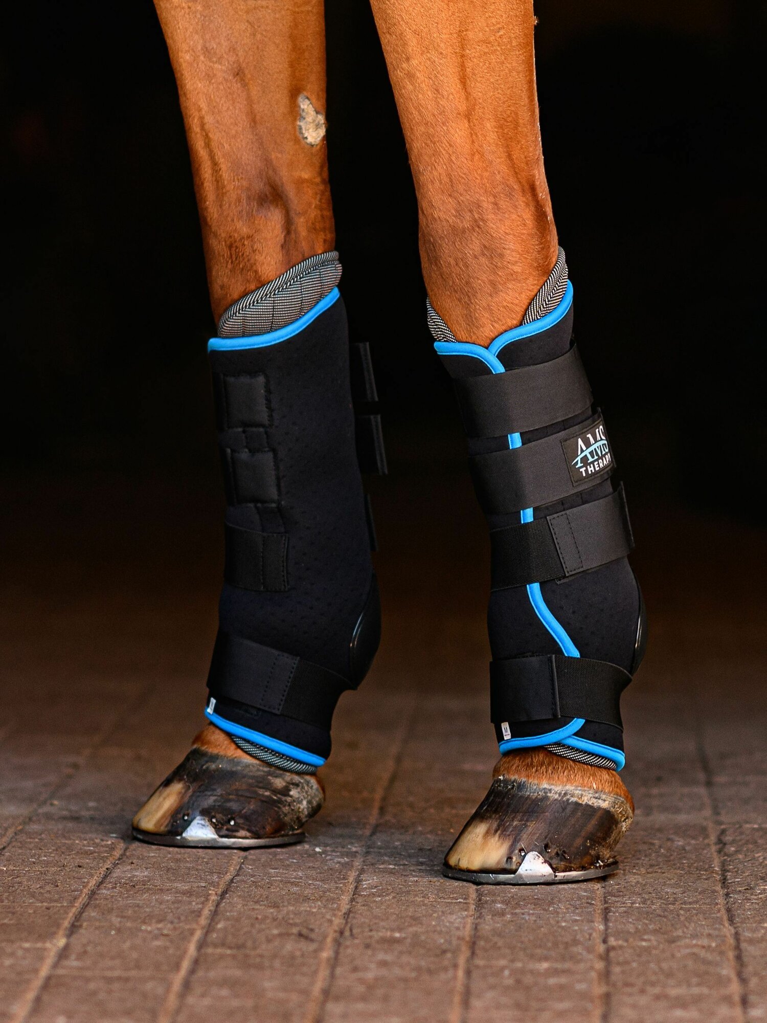 Денниковые ногавки-ватники, керамика, AMS Therapy, пара, L