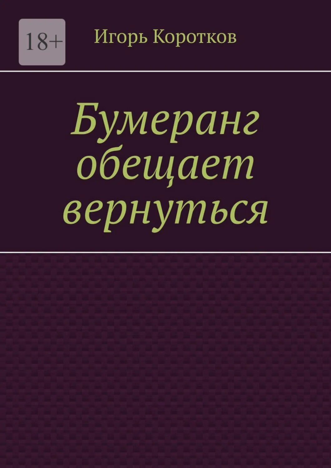 Бумеранг обещает вернуться [Цифровая книга]