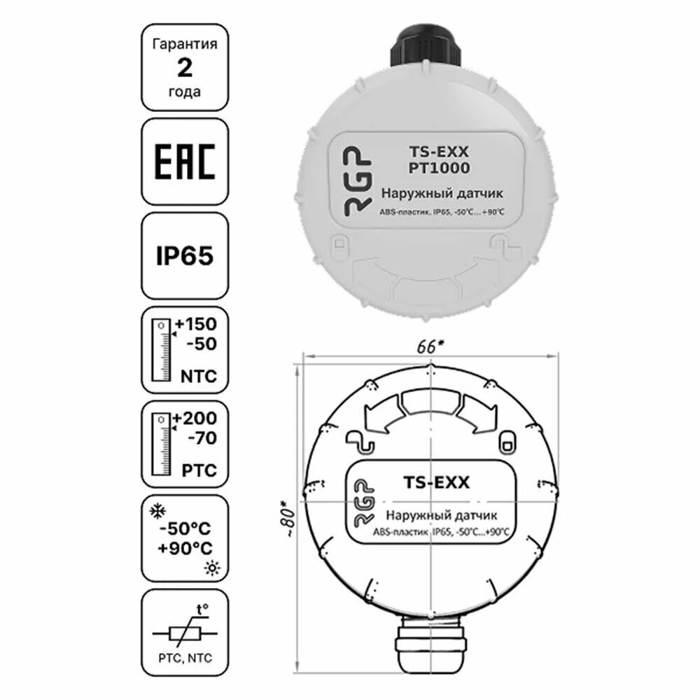 Датчик температуры наружного воздуха Завод RGP TS-E00 PT1000