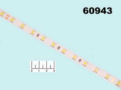 Светодиодная лента 36V белая 16.7см (13W/60LED/1м) RT2-5000 (5060LED)