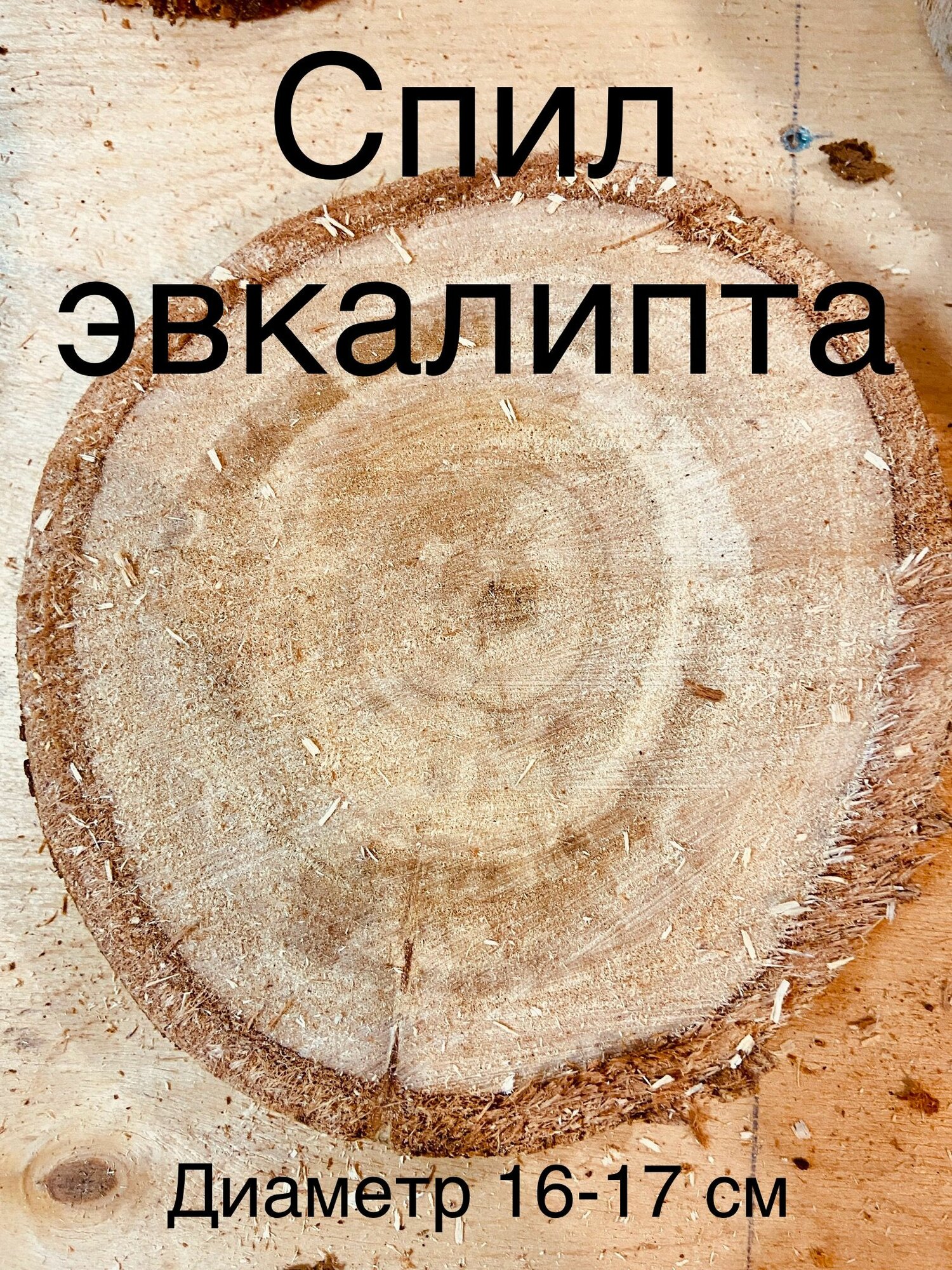 Спил Слэб Эвкалипта диаметр 16-17 см