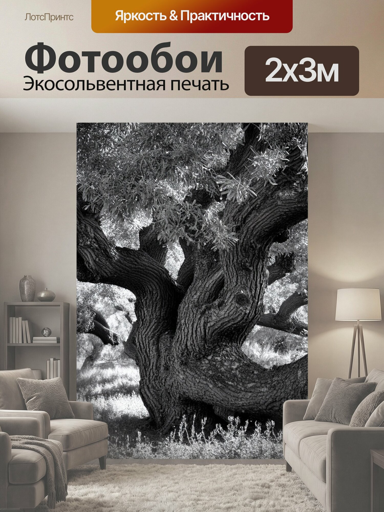 Фотообои "Прованс: старинные оливковые деревья с изогнутыми стволами, спрятанные среди зелени. стиль: фотография в черно-белом с глубокими тенями." 200x300 см. экосольвентная печать