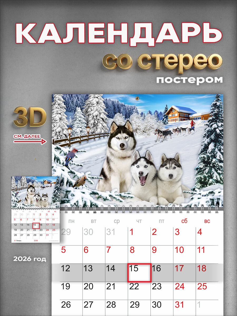 Настенный отрывной стереокалендарь "Хаски"