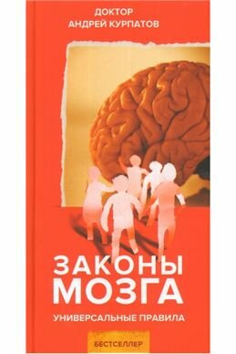 Законы мозга. Курпатов А. В.