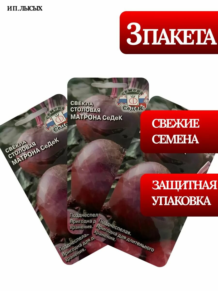 Семена Свекла "Матрона Седек"