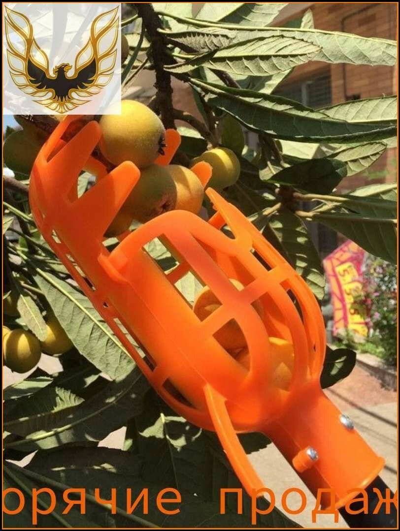 Плодосъёмник, Легкий тепличный без черенка, 1 шт