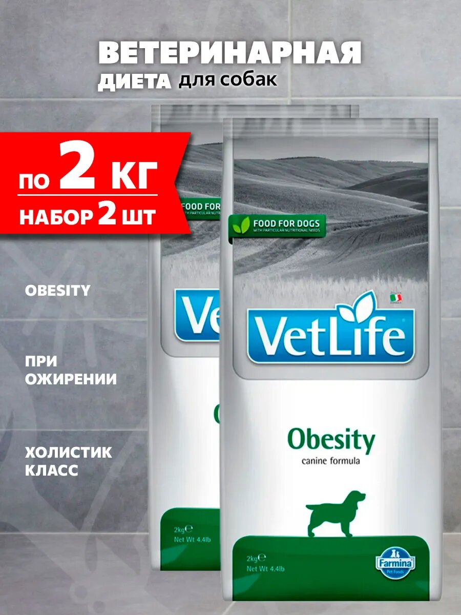 Корм сухой Farmina Vet Life Canin Obesity для взрослых собак при ожирении, 2 кг 2 шт