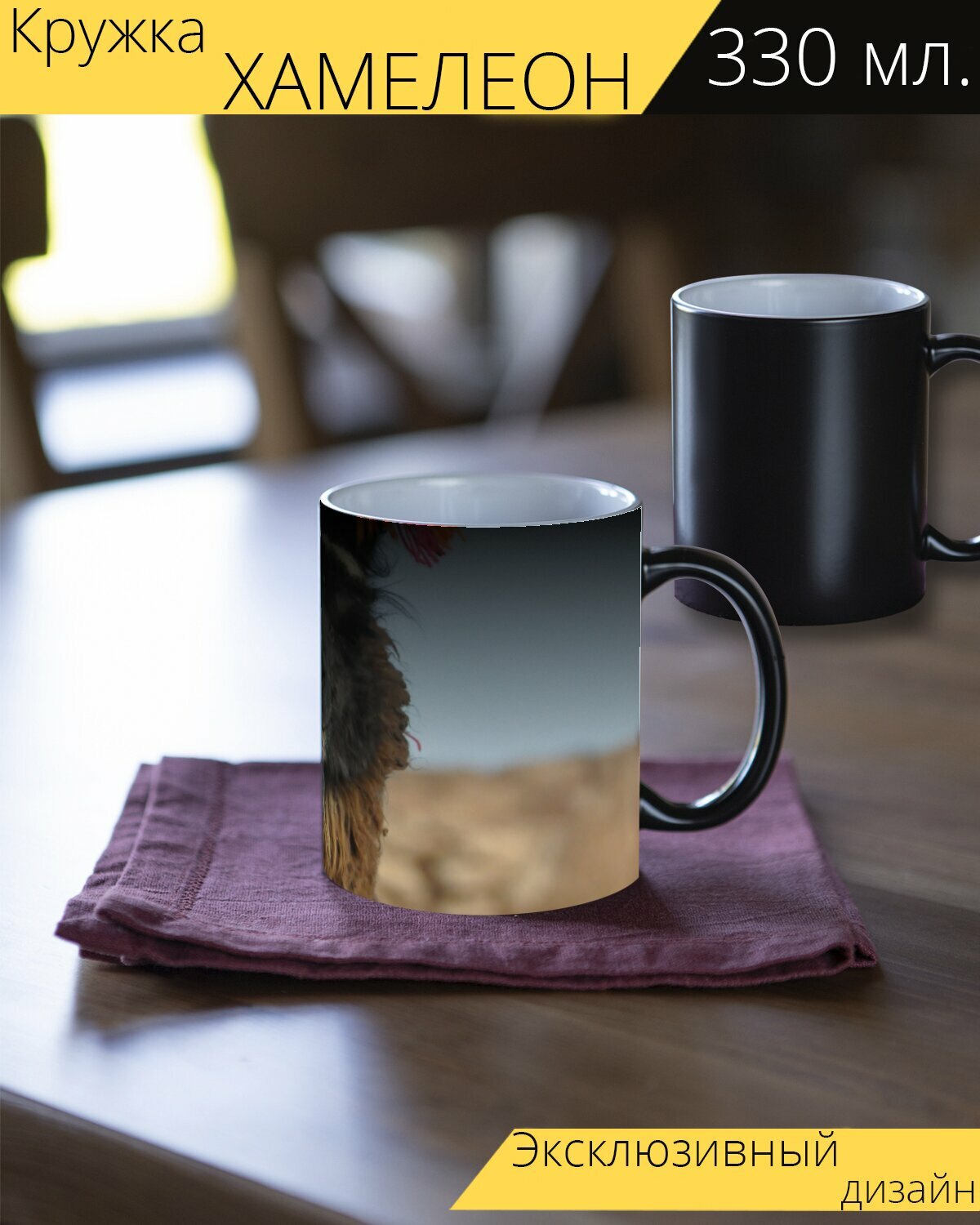 Кружка хамелеон с принтом "Лама Лама во дворе на плато в Боливии лама украшения ферма" 330 мл.