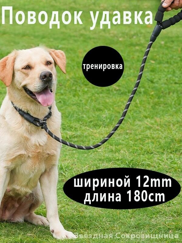 Эксклюзивный дрессировочный контроллер для питомца