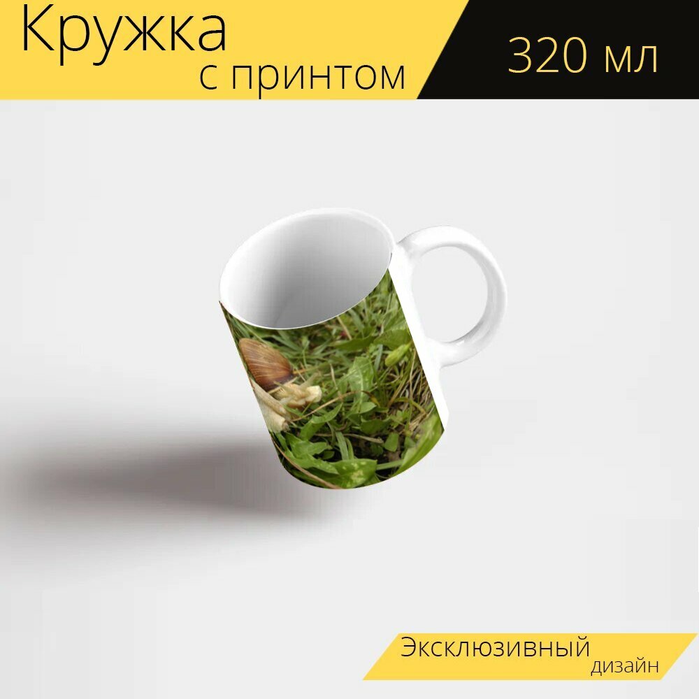 Кружка с рисунком, принтом "Улитка, оболочка, медленный" 320 мл.