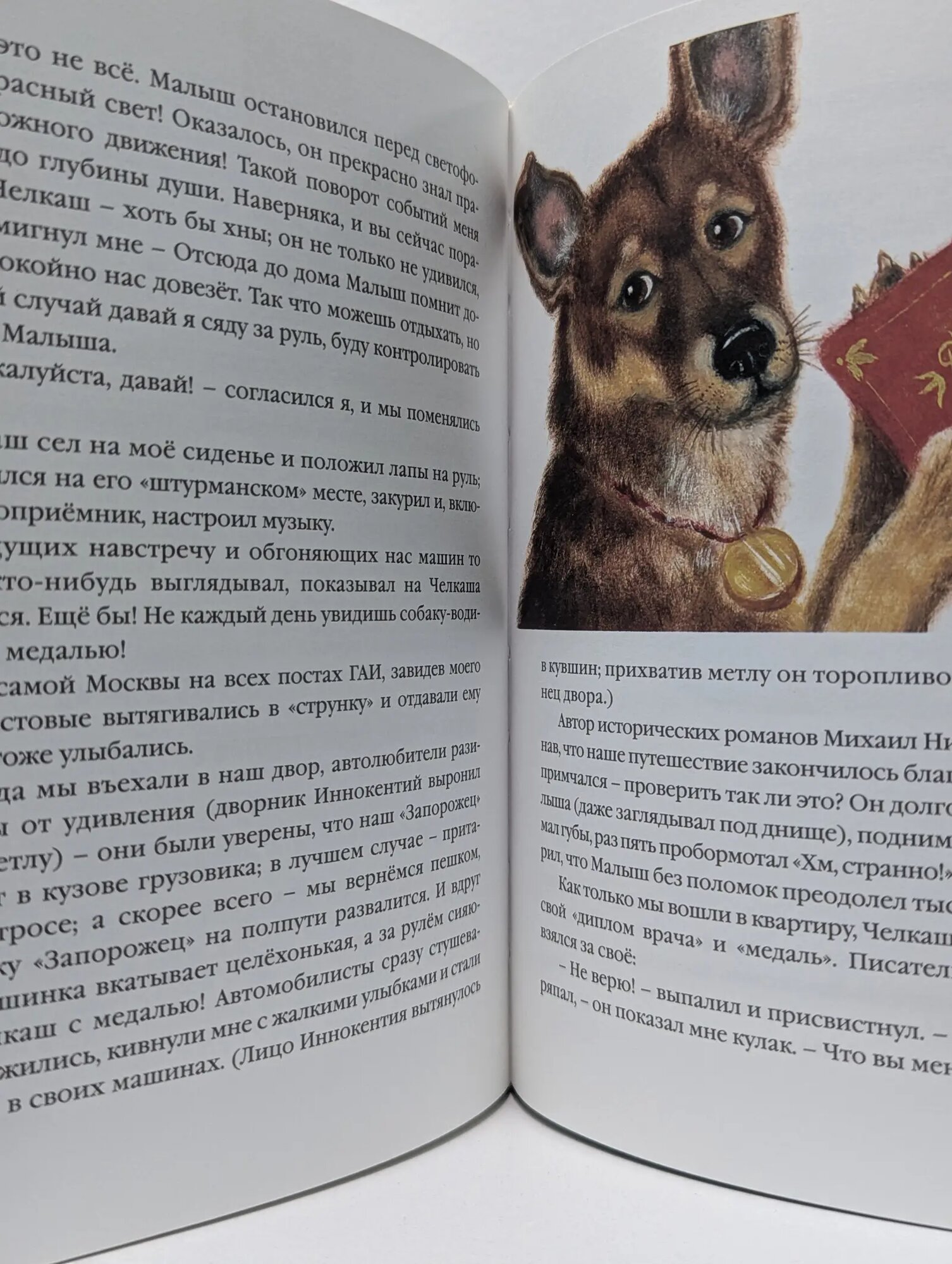 Мои собаки Сергеев Леонид Анатольевич 2008 — фото 1