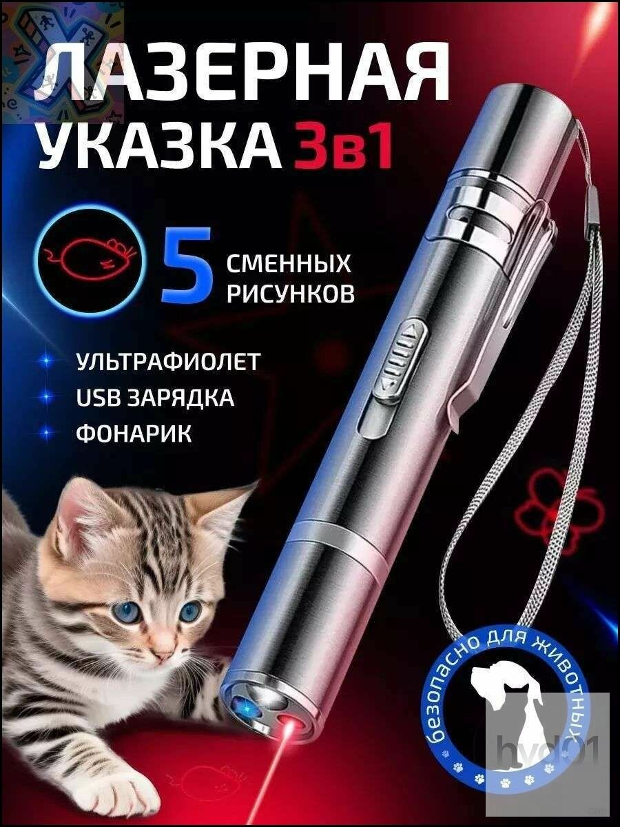 X-ing-Лазерная указка для кошек и собак, Лазер, УФ, Фонарик, с USB зарядкой