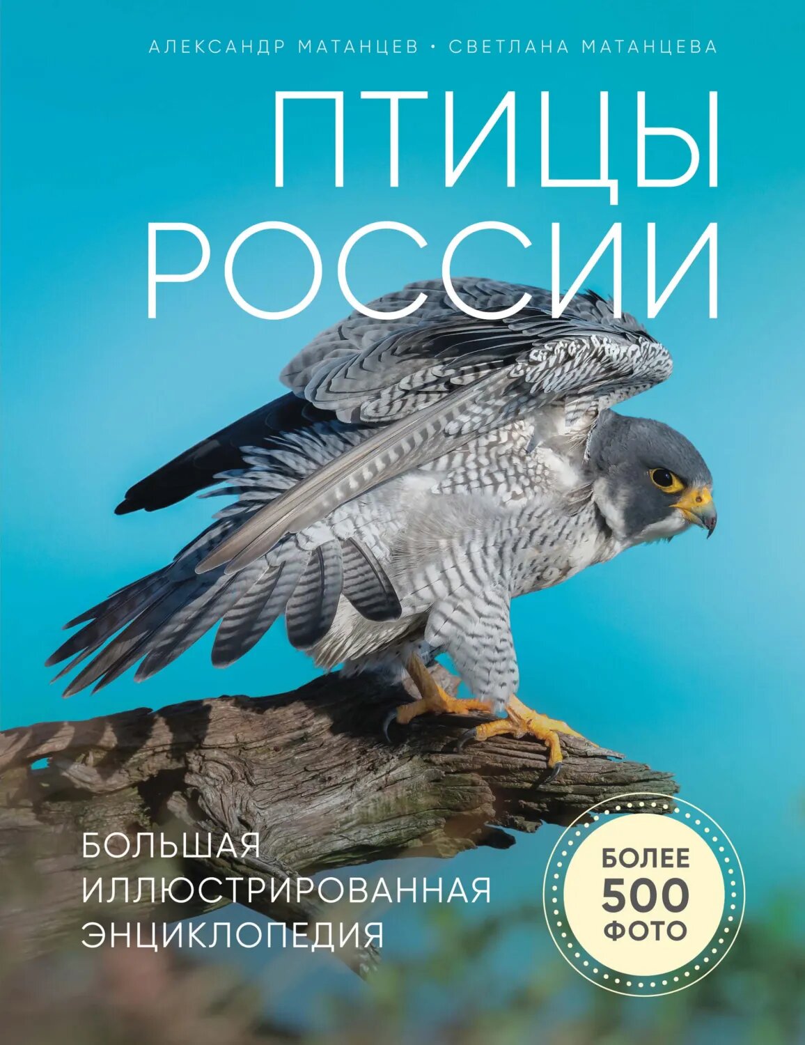Птицы России. Большая иллюстрированная энциклопедия [Цифровая книга]