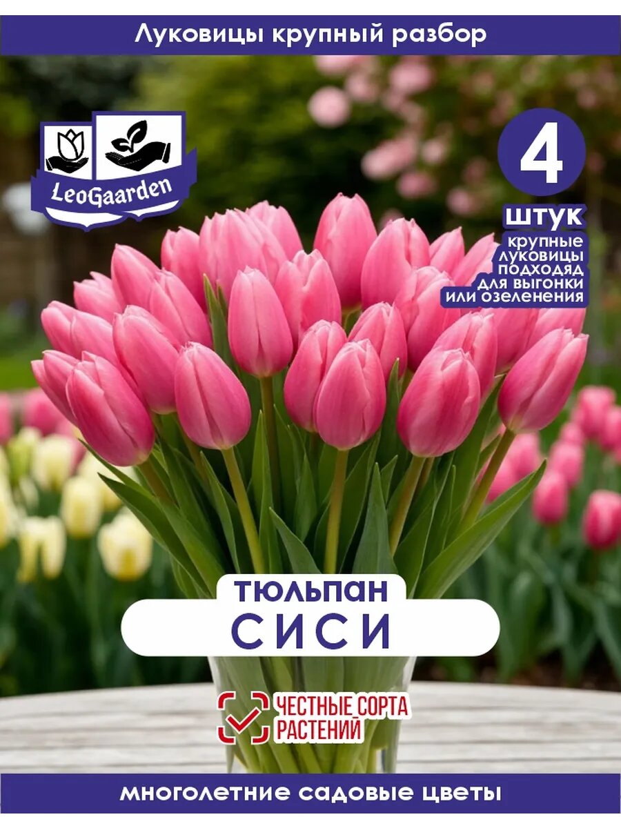 Тюльпан Луковица, Сиси, 4 шт
